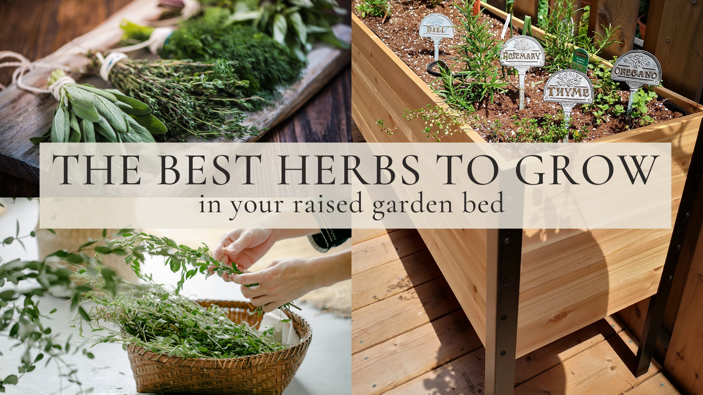 The Best Herbs To Grow In Raised Garden Beds – Cedar Planters España